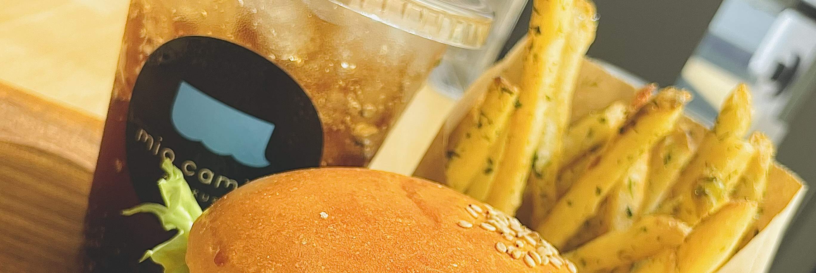 [Depart from Kumamoto] Amakusa Wild Dolphin Watching and Juicy Burger ...